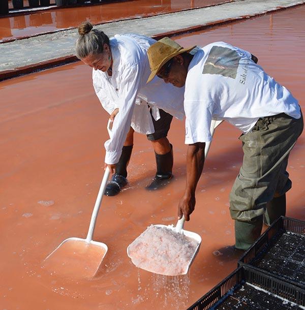 Antarctic Pure Coarse Sea Salt – Sun & Wind Dried – Gathering Place Trading